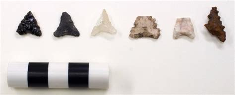09 Identified Cottonwood Triangular Points From The Sub Assemblage Of