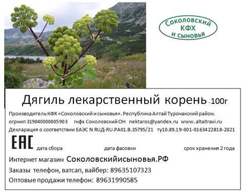 Дягиль корень 100г - Алтайские травы