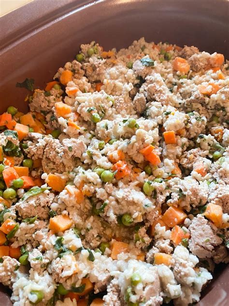 Diy Homemade Dog Food Artofit