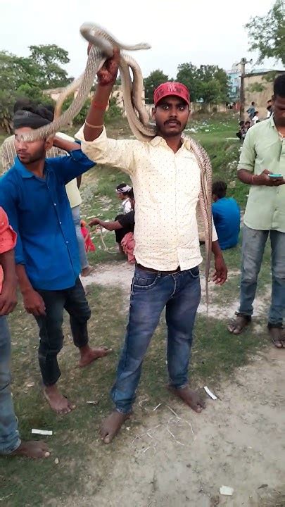 Bibhutipur Singhiya Ghat Rosera Road Bhagwati Asthan Youtube