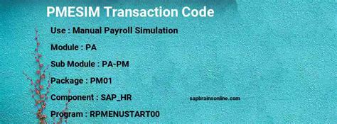 Pmesim Sap Tcode For Manual Payroll Simulation