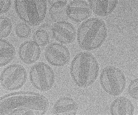 Vorbereitung Ist Alles Ge Und Missbrauch Der Probenvorbereitung Für