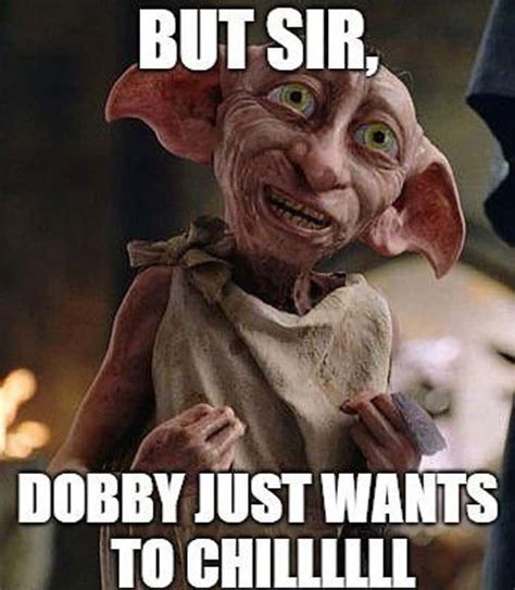 Dobby College Memes