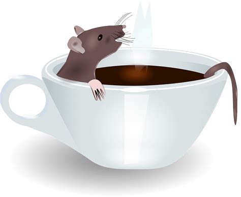 Quest Ce Quune Phrase Déclarative