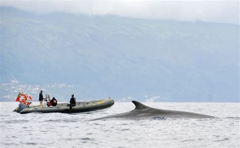 Top 12 Things To Do On Sao Miguel Island The Azores