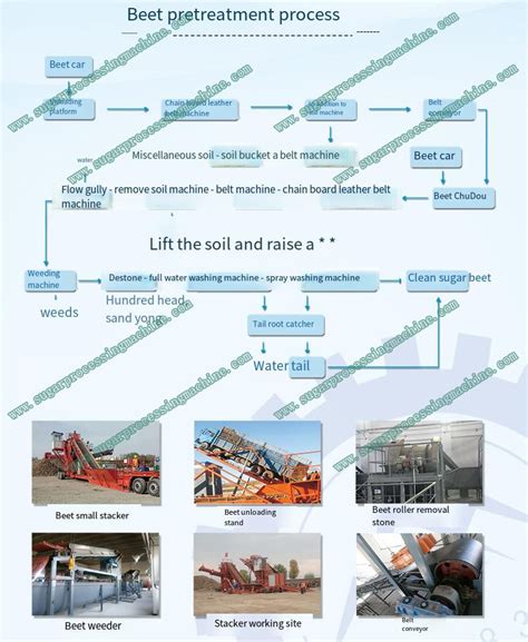 Beet Sugar Processing Machinery Price Beet Sugar Production Line Sugar Beet Making Machine Brown
