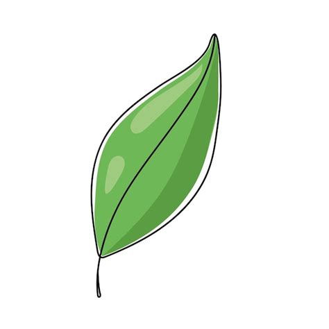 Premium Vector Vector Illustration Of A Tea Leaf