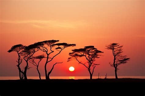 기독교 예수 실루엣 배경 일몰 실루엣 예수 기독교 배경 일러스트 및 사진 무료 다운로드 Pngtree