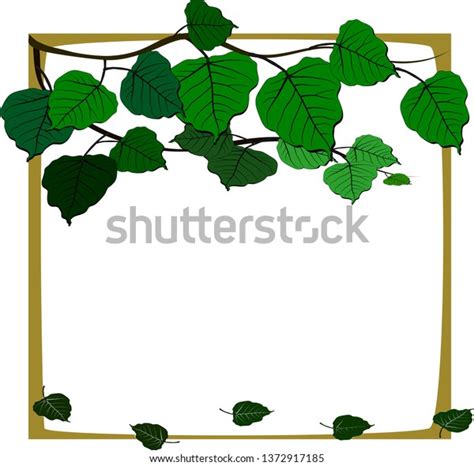 Peepal Plant Over 29 Royalty Free Licensable Stock Vectors And Vector