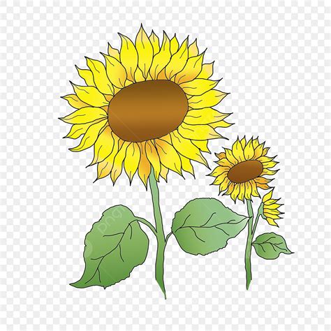 해바라기 일러스트 해바라기 클립 아트 손으로 그린 수채화 Png 일러스트 및 Psd 이미지 무료 다운로드 Pngtree