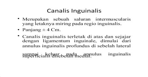 Canalis Inguinalis