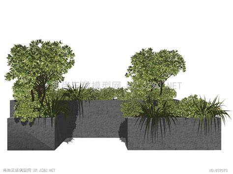 3d植物景观黄杨球植物球景观草现代绿植盆栽灌木花坛花箱花池种植池SU模型 景观小品SU模型
