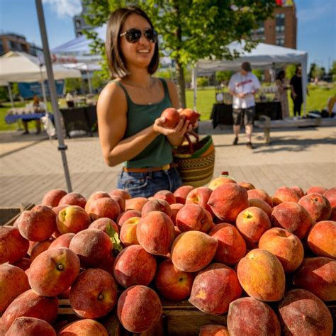 Noma Farmers Market At Third Street Noma Bid