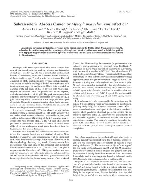 Pdf Submasseteric Abscess Caused By Mycoplasma Salivarium Infection