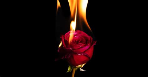 how spicy books are improving sex lives of romantasy readers ps sex