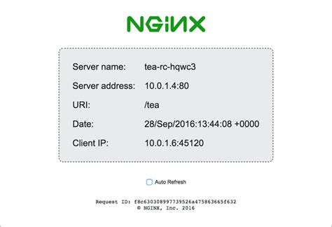 用于 Kubernetes 负载平衡的 Nginx 和 Nginx Plus Ingress 控制器
