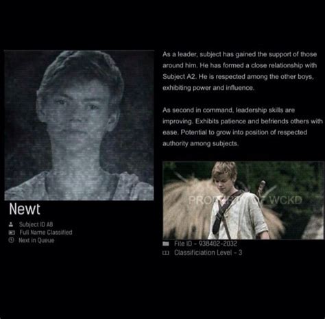 Pin On Art Maze Runner Imagines Maze Runner Trilogy Newt Maze Runner