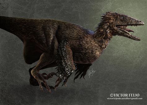 Deinonychus Antirrhopus By Victorfeijo On Deviantart