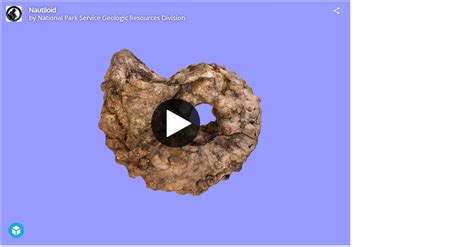 Coiled Nautiloid Us National Park Service