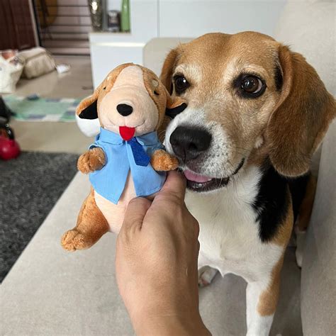 Atlantis Bioscience Pte Ltd Atlantis Bioscience Pte Ltd