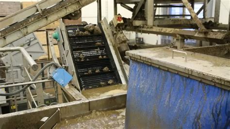 Vegetable Destoners Effective Debris Removal Tong Uk