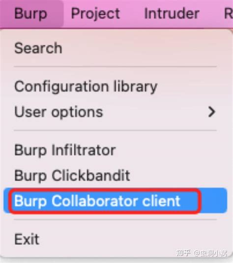 如何利用好BurpSuite在企业src中捡洞 知乎