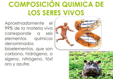 Tema 1 Composición Química De Los Seres Vivos Iiwlm