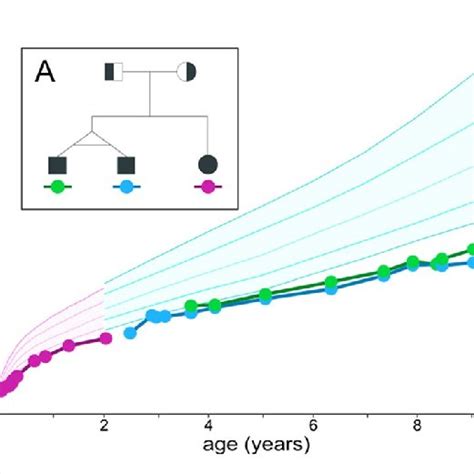 Microsomal Triglyceride Tg Transfer Protein Mtp And Lipoprotein