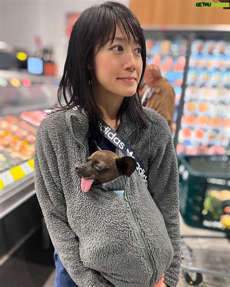 Julie Zhan Wiki Biography Age Gallery Spouse And More