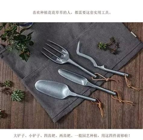 发财树养一次死一次学他这么做再也死不了 凤凰财经