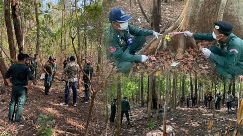 Btv News Home Btv News