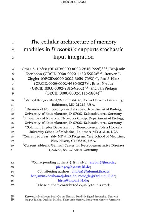 PDF The Cellular Architecture Of Memory Modules In Drosophila