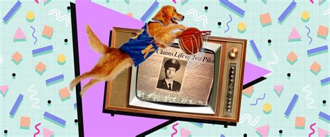 The Wildly Offensive Joke Thats Gone Unnoticed In ‘air Bud For 25 Years