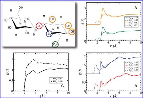 Structural Formula Of Trehalose And Selected Trehalose Water Radial