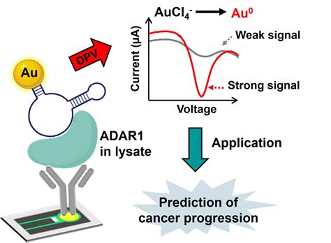 Sensing A Biomarker Asia Research News