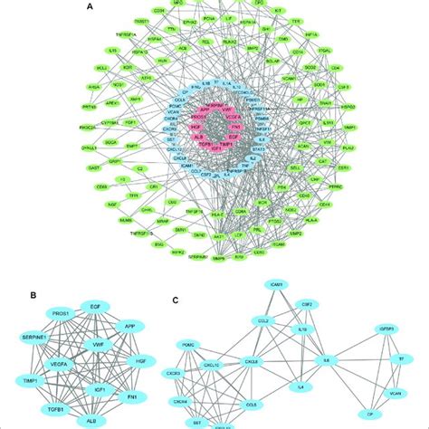 Protein Protein Interaction Analysis And Gene Module Analysis A