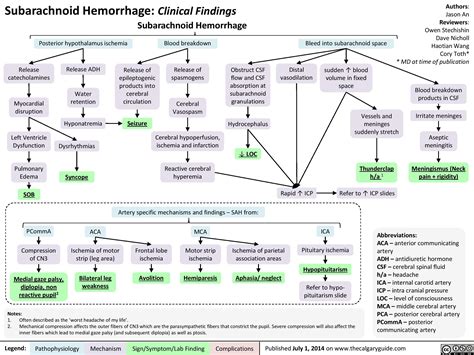 Subarachnoid Haemorrhage Sah Clinical Findings