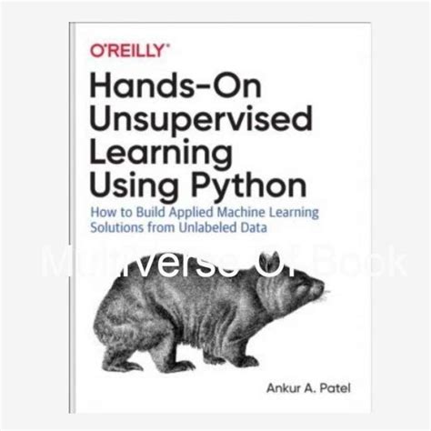promo hands on unsupervised learning using python how to build applied mach diskon 23 di