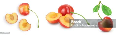 필드 세트 또는 컬렉션의 전체 깊이와 흰색 배경에 고립 된 노란색 빨간색 달콤한 체리 0명에 대한 스톡 사진 및 기타 이미지 0명 과일 노랑 Istock