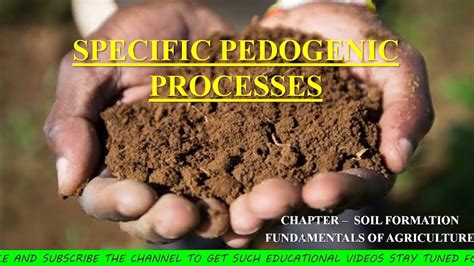 Decalcification Podozolization Laterization Salination Solonization Solodization