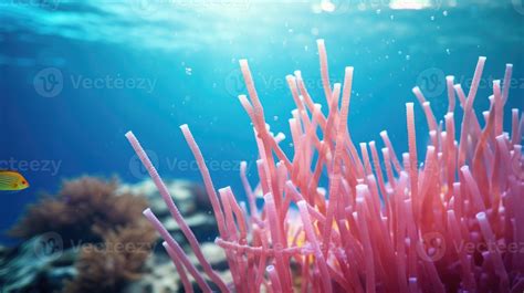 Closeup Of A Plastic Straw Stuck In A Coral Reef A Reminder Of The