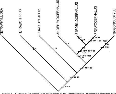 Evolutionary Reversal