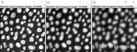 Imagej开发教程——imagej2插件编写 知乎 Imagej开发教程——imagej2插件编写 知乎