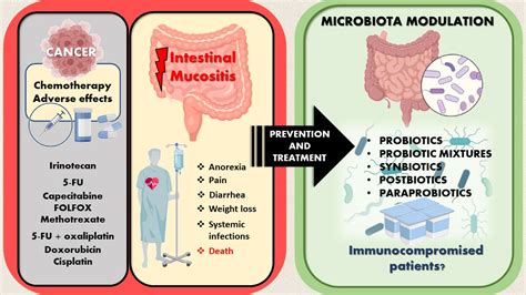 Chemotherapy Side Effects Diagram