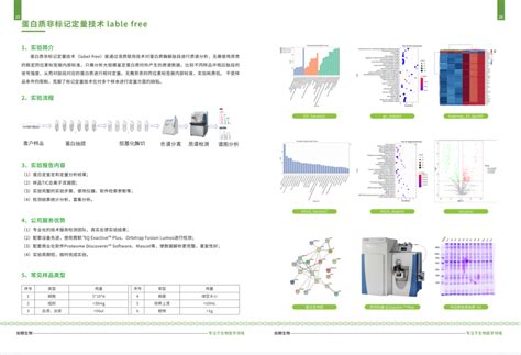 Rip实验步骤rna Immunoprecipitationavareart的博客 Csdn博客
