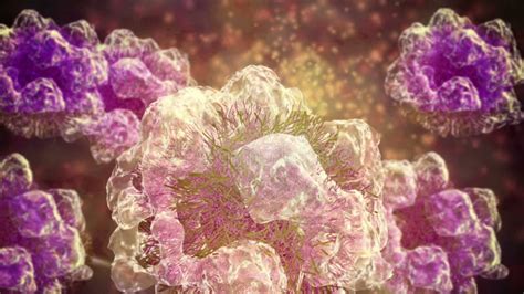 Cytoskeleton Animation Stock Video Video Of Microtubule 318888425