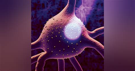 Optogenetics Noninvasive Optogenetics Potentially Promising For Human Applications Laser