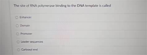 Solved The Site Of Rna Polymerase Binding To The Dna