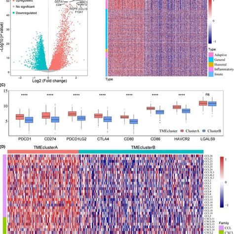 Expression Pattern Of Immune‐associated Genes And Chemokines In 2 Tumor