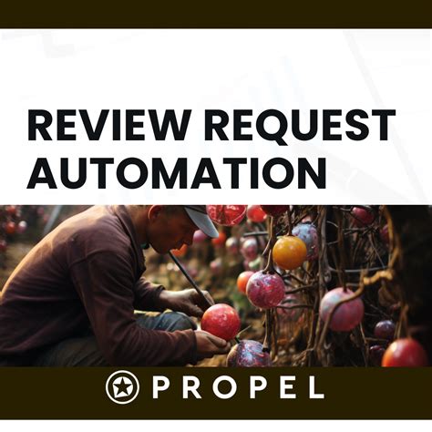 Review Request Automation A Deep Dive Into Efficiency And Impact